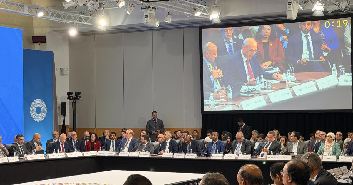 IsDB President Underlines Transforming Resilience into Sustainable ...
