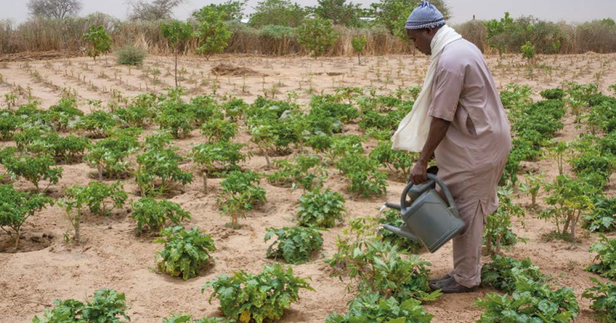 Tapping to a better future: Clean water for rural Senegal | Case ...