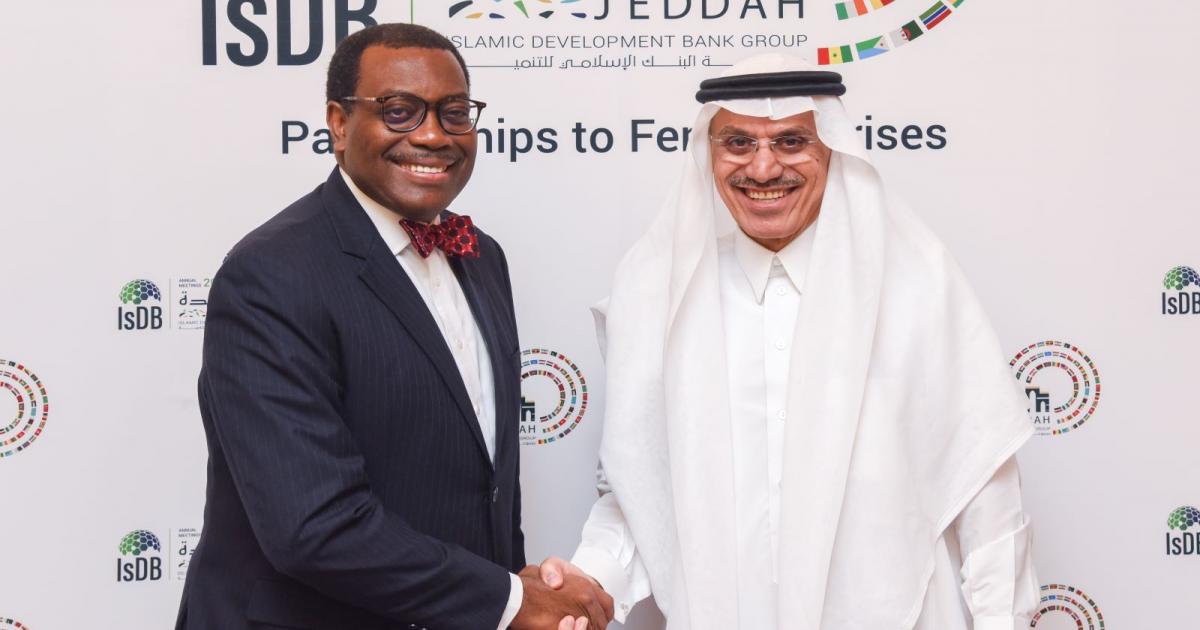 IsDB and AfDB Presidents Eye Further Cooperation to Tackle Global Challenges | News | IsDB