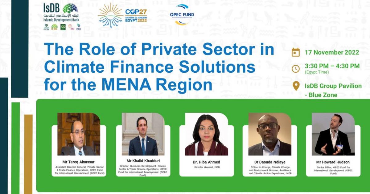 The Role of Private Sector in Climate Finance Solutions for the MENA ...