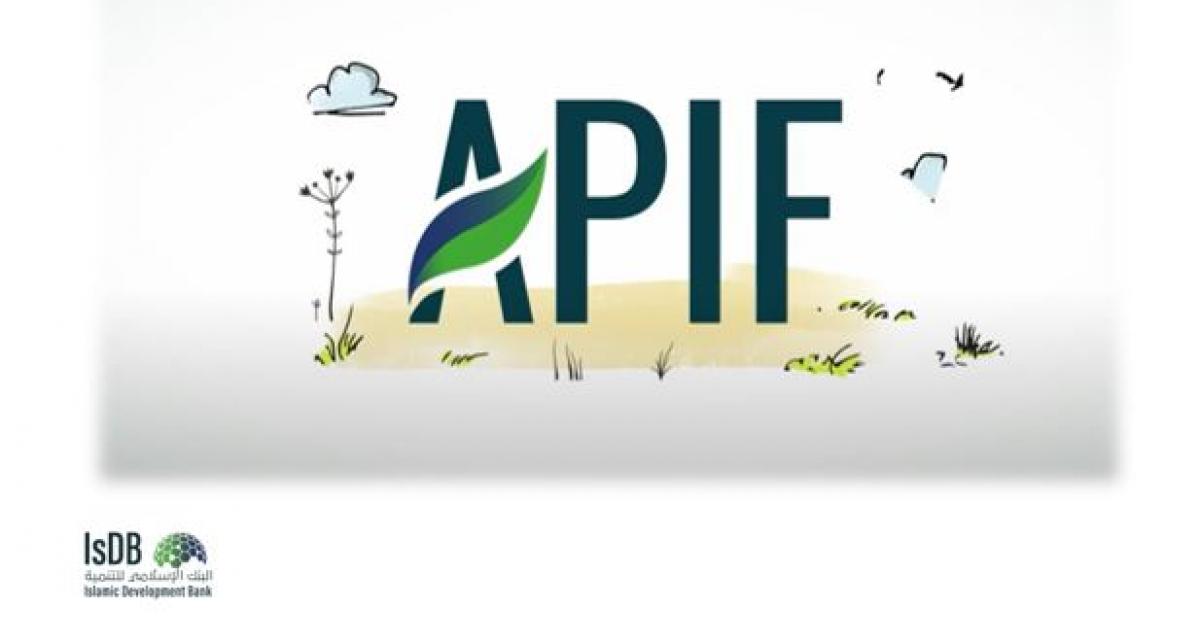 APIF 60th Supervisory Committee Highlights | News | IsDB