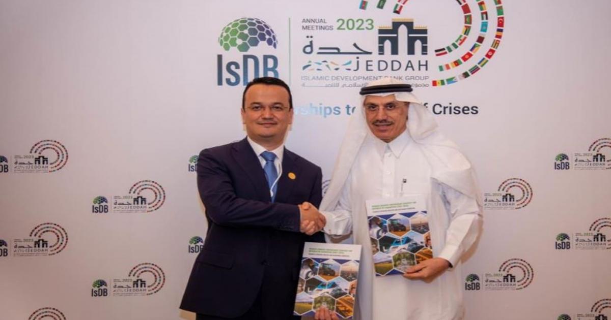 Islamic Development Bank (IsDB) Group Member Country Partnership ...