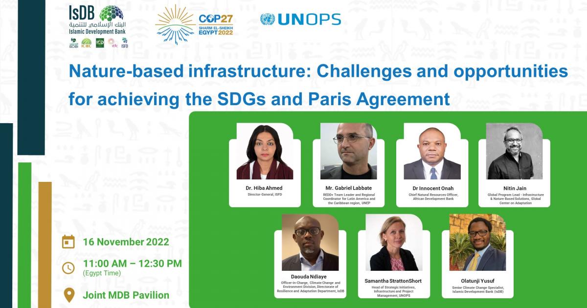 Infrastructure for Climate Action: Scaling nature-based solutions in ...