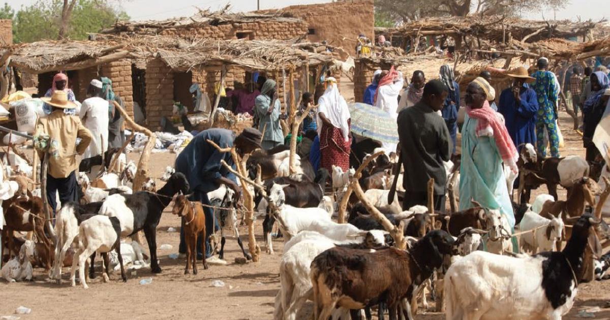 Republic of Niger | Regional Hub Abuja, Nigeria | IsDB