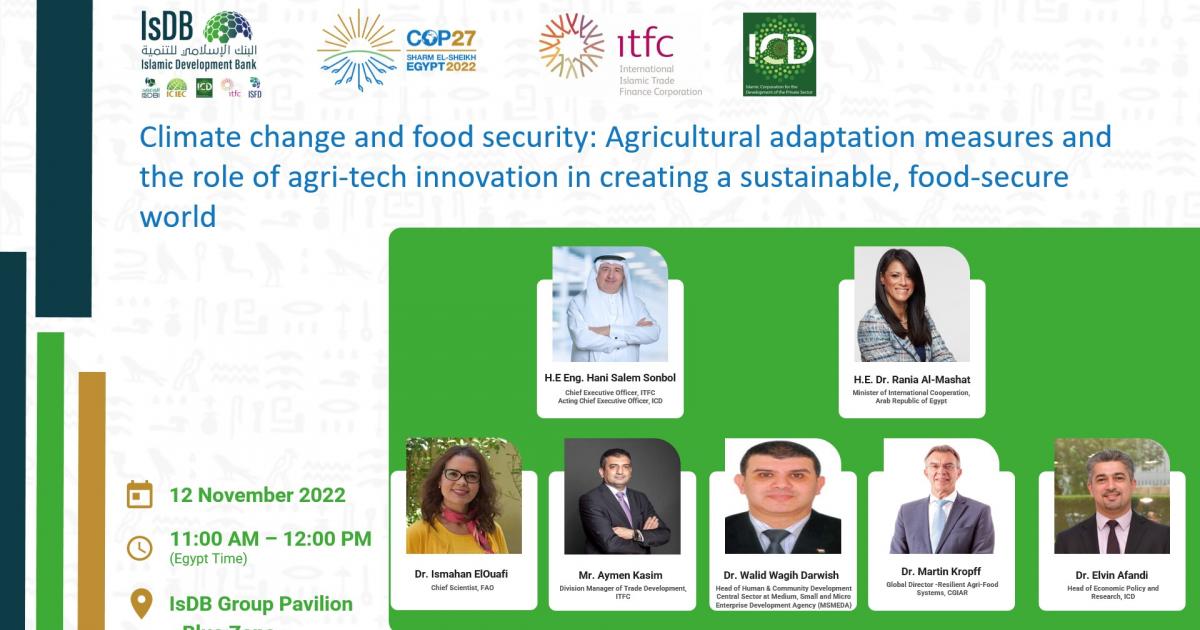 Climate change and food security: Agricultural adaptation measures and ...