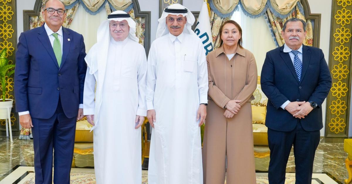 IsDB President engages international experts on ambitious IsDB Group ...
