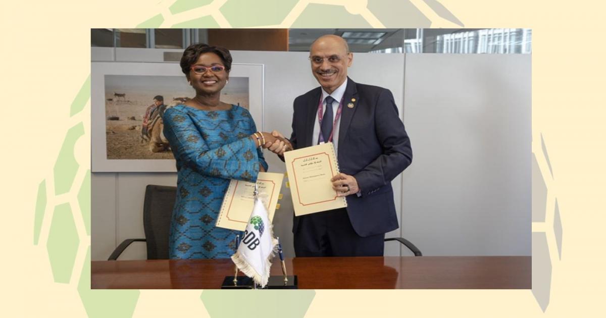 Senegal Minister of Economy and IsDB President Sign USD 29 Million ...